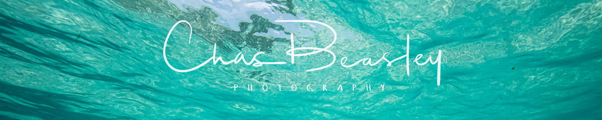 Chas Beasley Photography