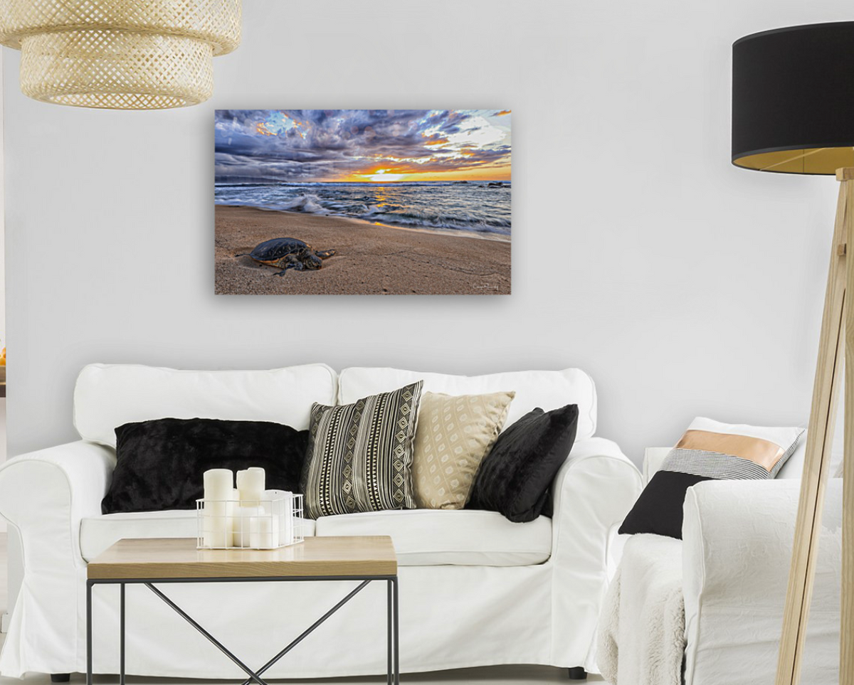 Gator Rock Sunset – Chas Beasley Photography