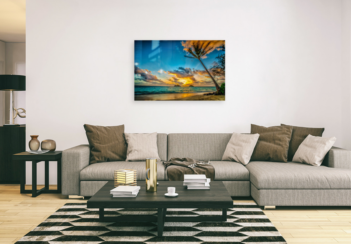 Tree of Fire – Chas Beasley Photography