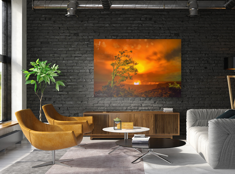 Lava Tree – Chas Beasley Photography