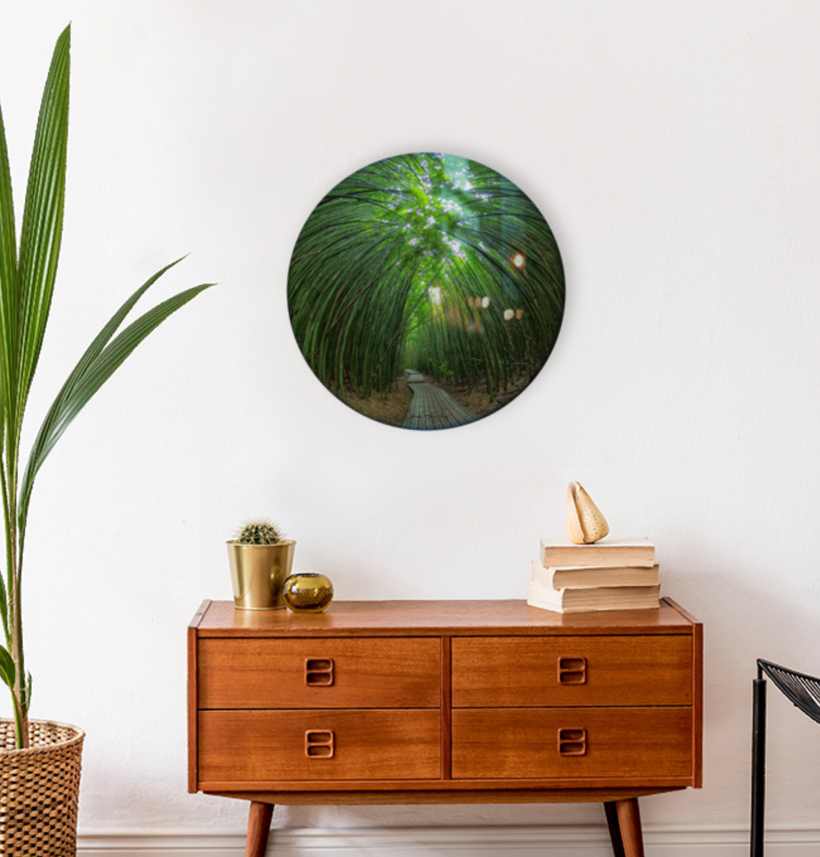 Bamboo Bend Fisheye – Chas Beasley Photography